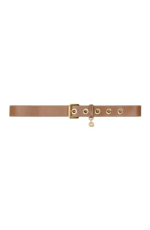 Maje Leather Belt With Oversized Eyelets And Gold Accents - Moka