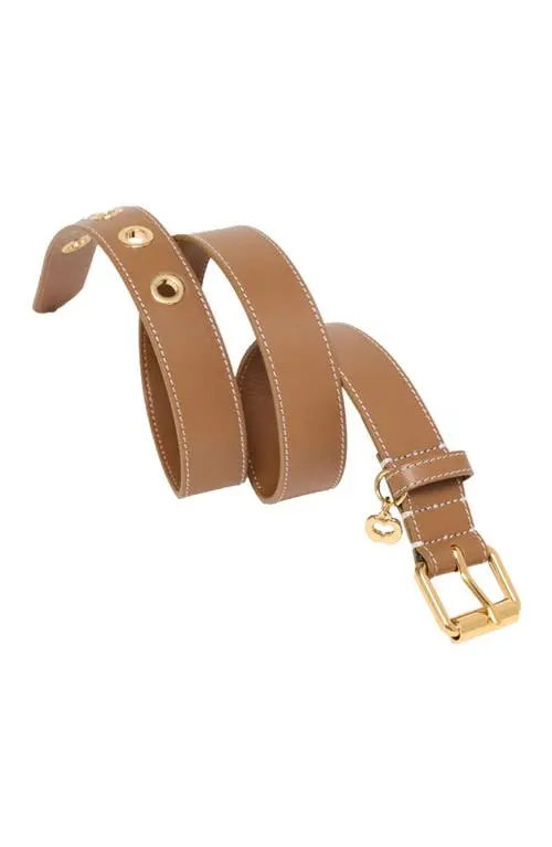 Maje Leather Belt With Miss M Buckle - Moka
