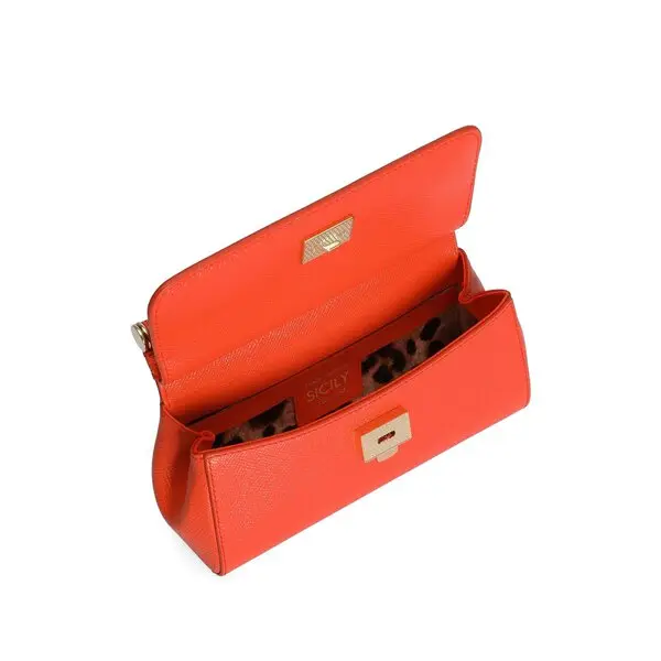 Dolce & Gabbana Mini Bags