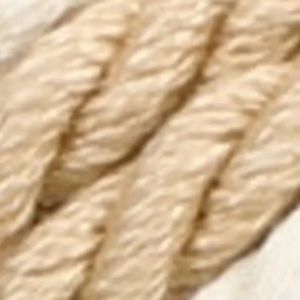 Chloé Raffia Logo Thong Sandals