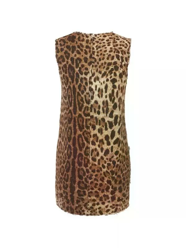 Dolce & Gabbana Leopard-print Mini Dress