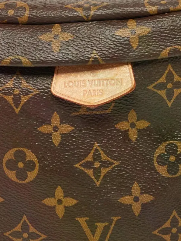 LOUIS VUITTON Monogram Belt Bag