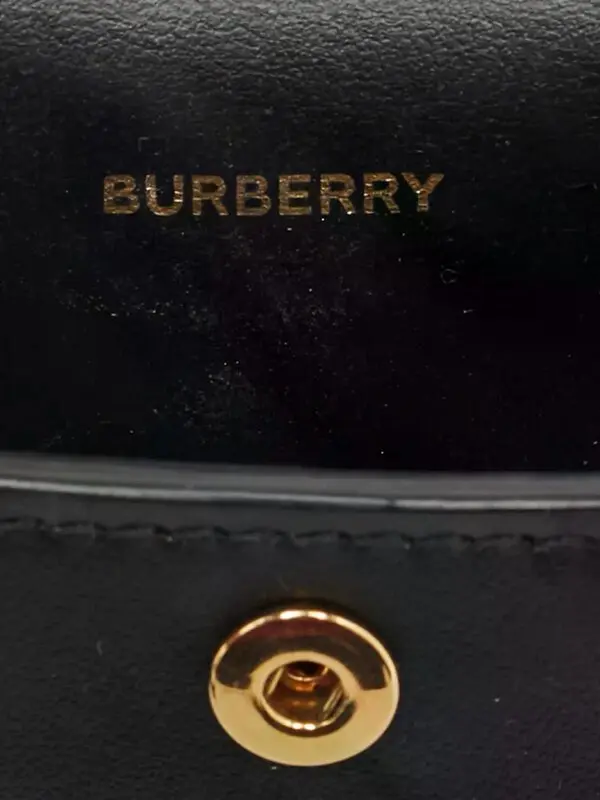 Burberry Tb Airpods Case