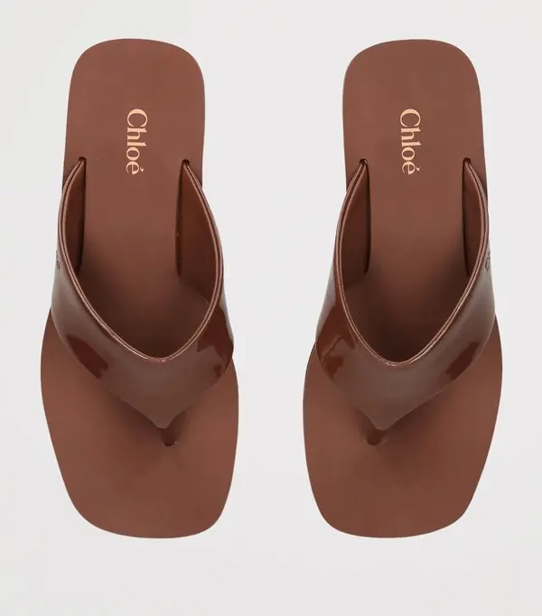 Chloé Striped Wedge Thong Sandals