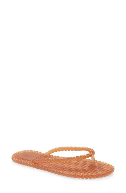 BRIZZA Braided Jelly Flip Flop - Brown