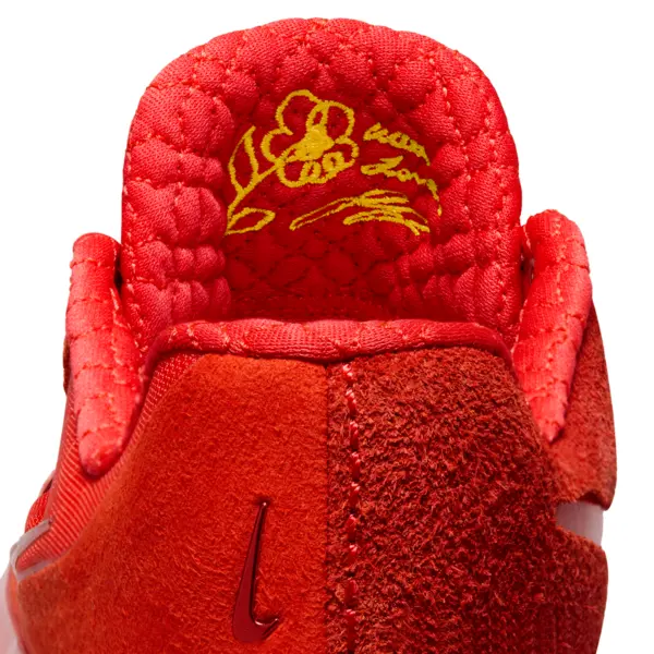 Nike Lebron Nxxt Gen Basketball Shoes - Red