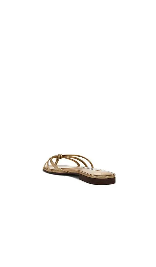 Steve Madden Calissi Sandal In Metallic Gold