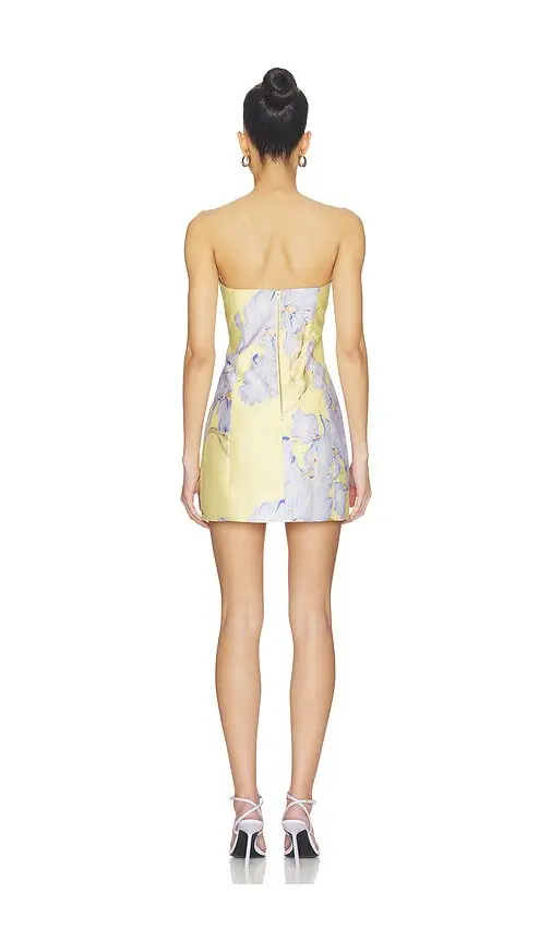 Bardot Karoline Hour Glass Mini Dress