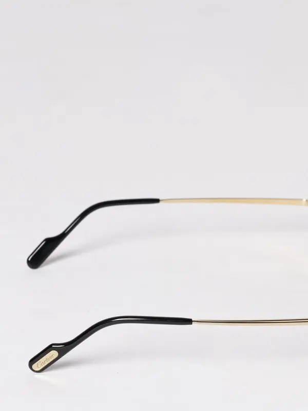 Cartier Sunglasses Grey