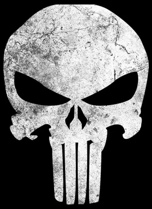 MARVEL Punisher Retro Skull Symbol Short Sleeve Graphic T-shirt