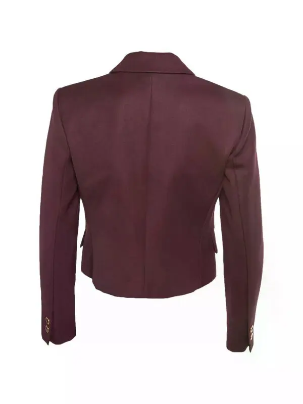 Elisabetta Franchi Double-breasted Blazer