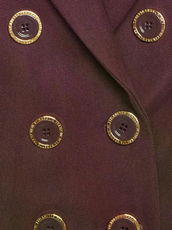 Elisabetta Franchi Double-breasted Blazer