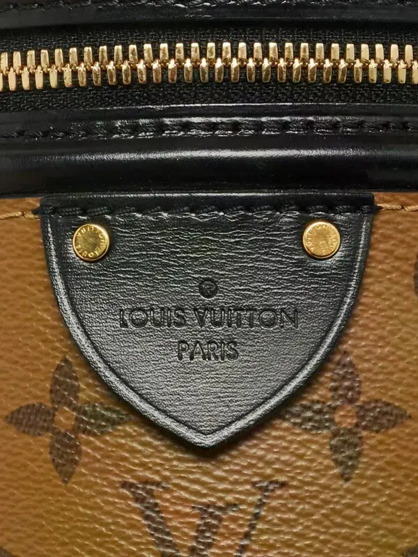 LOUIS VUITTON Cannes Monogram Reverse Bucket Bag - Neutrals
