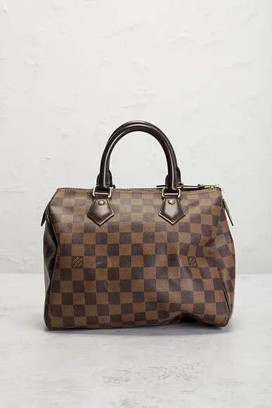 LOUIS VUITTON Damier Ebene Speedy 25 Handbag