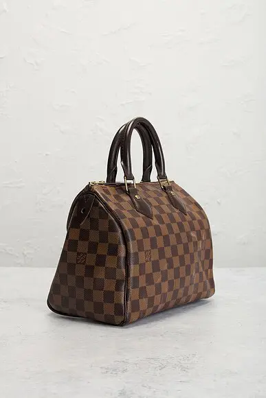 LOUIS VUITTON Damier Ebene Speedy 25 Handbag