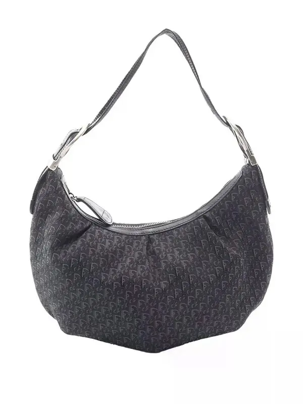 Dior Trotter Canvas Hobo Bag