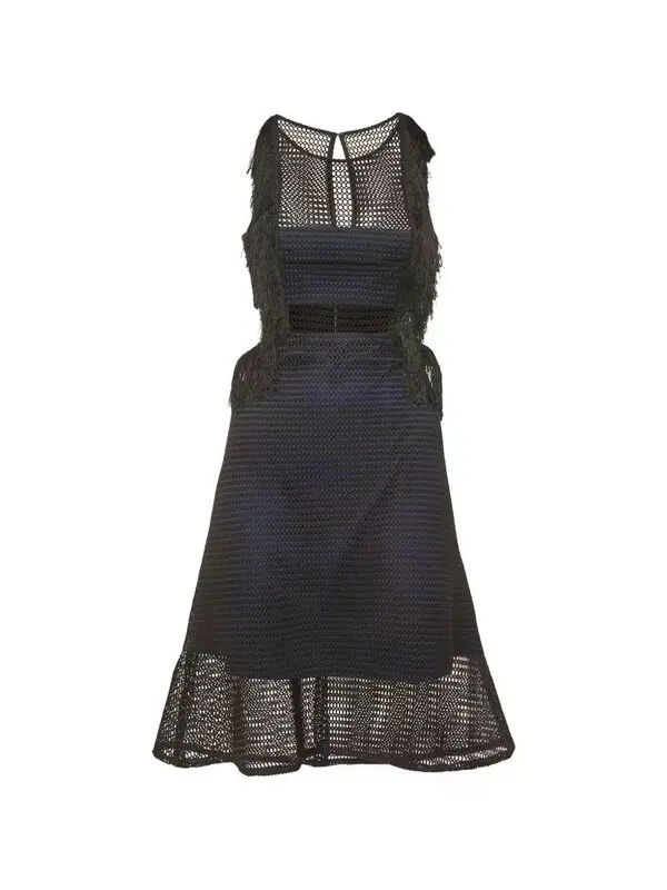 SELF-PORTRAIT Mesh Fringe Dress