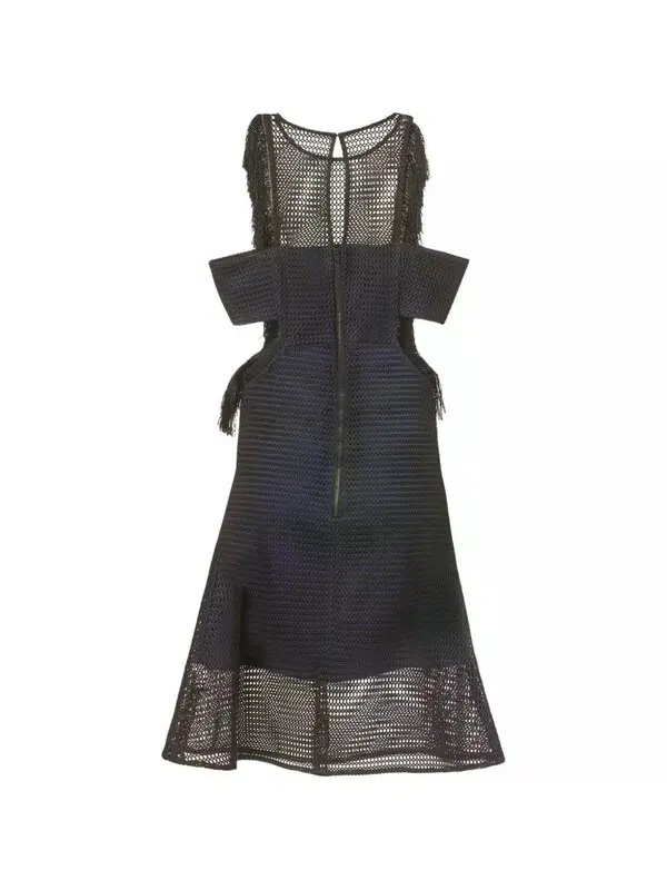 SELF-PORTRAIT Mesh Fringe Dress