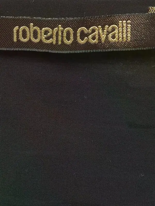 Roberto Cavalli Floral Print And Polka Dot V-neck Cap Sleeve Top