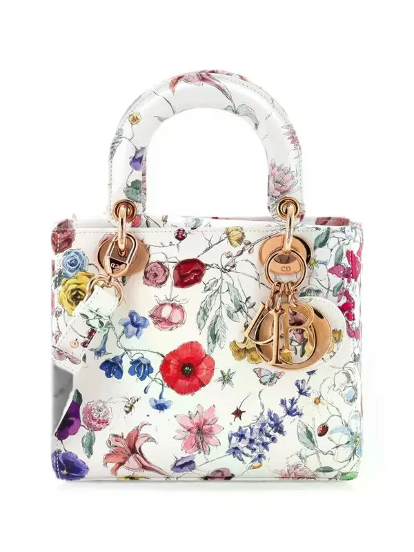 Dior Lady Bag - Multicolour