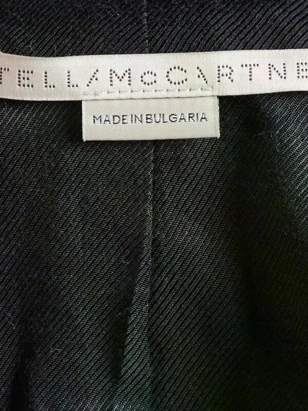 Stella McCartney Double-breasted Blazer Dress