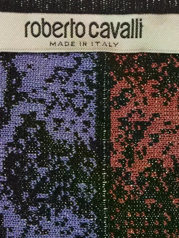 Roberto Cavalli Panelled Sleeveless Maxi Dress