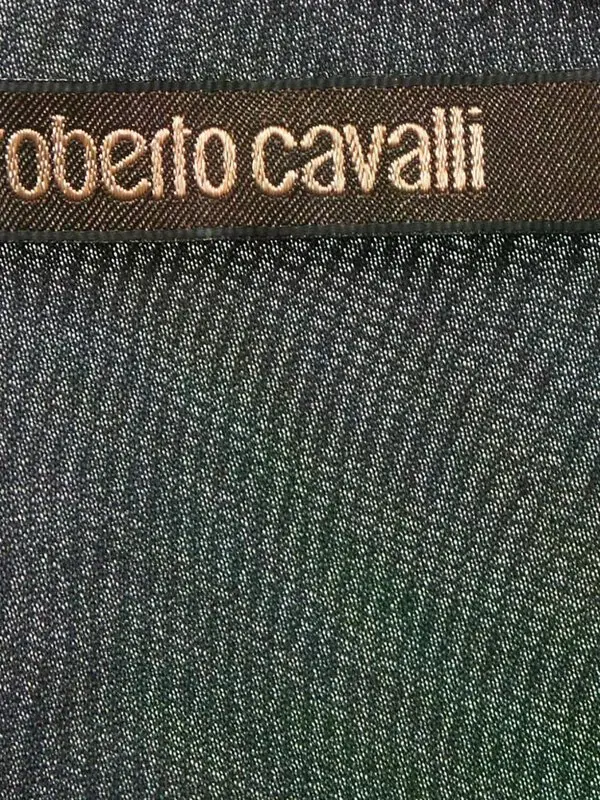Roberto Cavalli Printed Jersey Dress