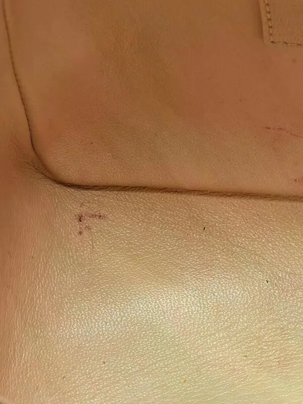 Chloé Elsie Grained Shoulder Bag