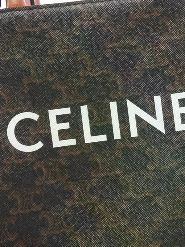 Celine Mini Vertical Cabas Satchel