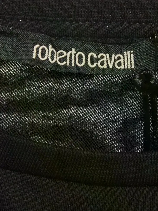 Roberto Cavalli Snake Graphic T-shirt