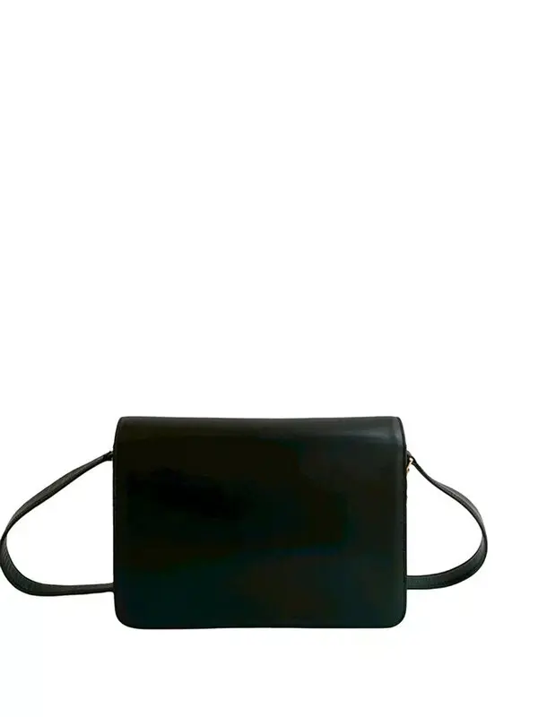 Celine Calfskin Horse Carriage Shoulder Bag - Black