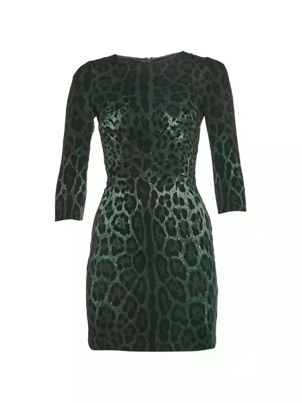 Dolce & Gabbana Leopard-print Mini Dress - Green