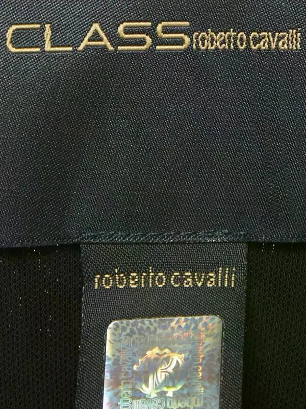 Roberto Cavalli One-shoulder Maxi Dress