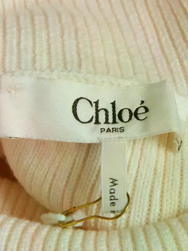 Chloé Ribbed Knit Roll Neck Long Sleeve Sweater