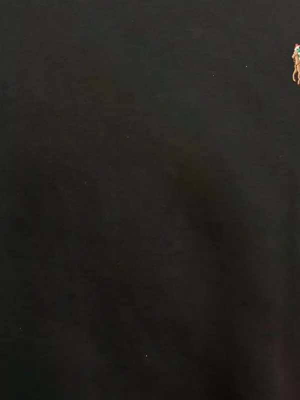 Polo Ralph Lauren Logo-embroidered T-shirt - Black
