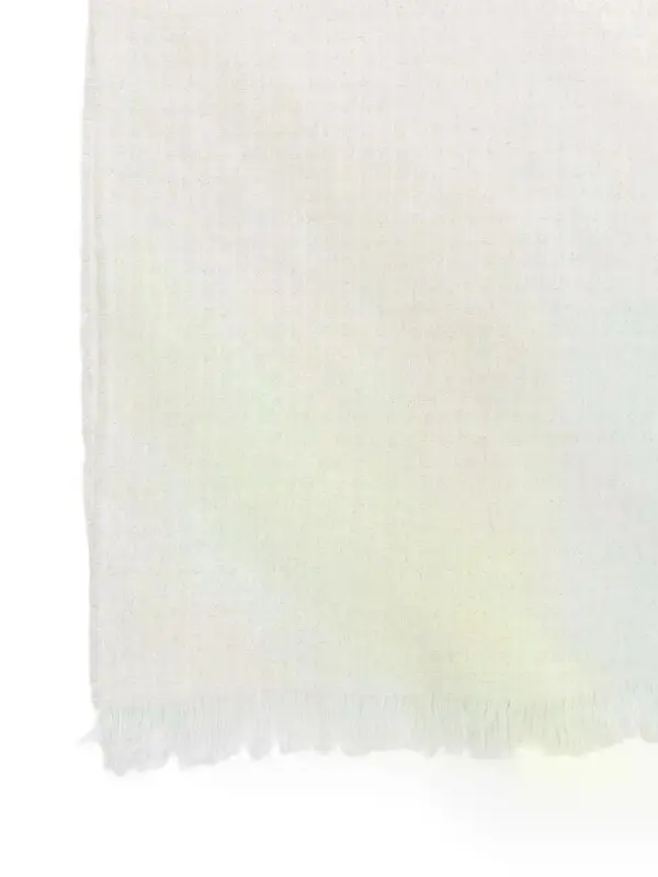 Fabiana Filippi Fringed-hem Scarf - Neutrals