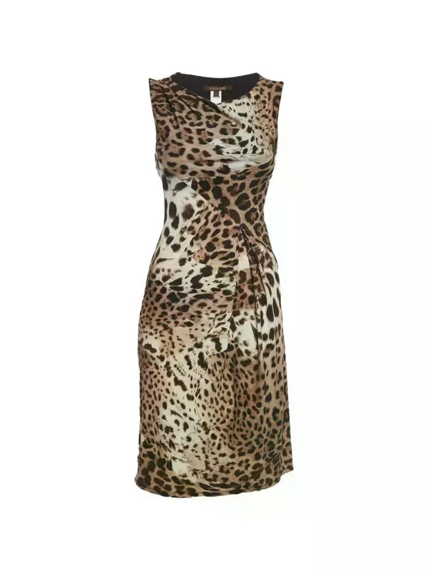 Roberto Cavalli Leopard-print Paneled Mini Dress - Neutrals