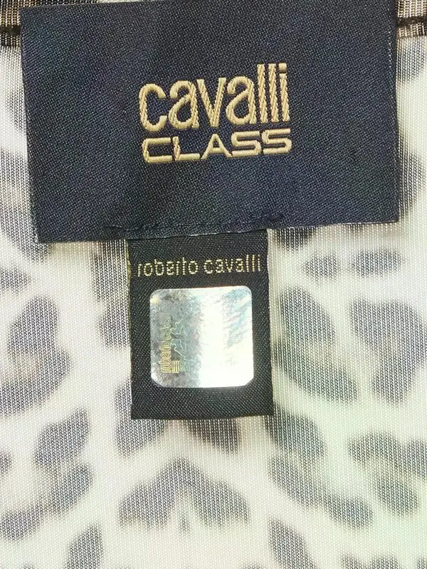 Roberto Cavalli Leopard-print Jersey Sweater