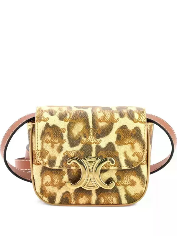 Celine Claude Printed Triomphe Coated Canvas Mini Shoulder Bag - Neutrals