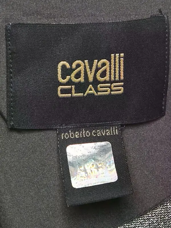 Roberto Cavalli Metallic Stripe Mini Dress