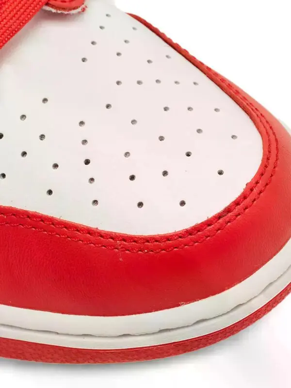 Nike Dunk Championship High-top Sneakers