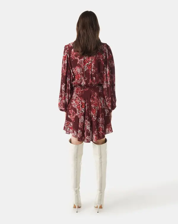 IRO PARIS Azula Printed V-neck Dress