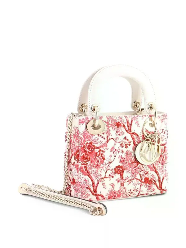Dior Lady Chain Bag Embroidered Calfskin Mini Satchel - Multicolour