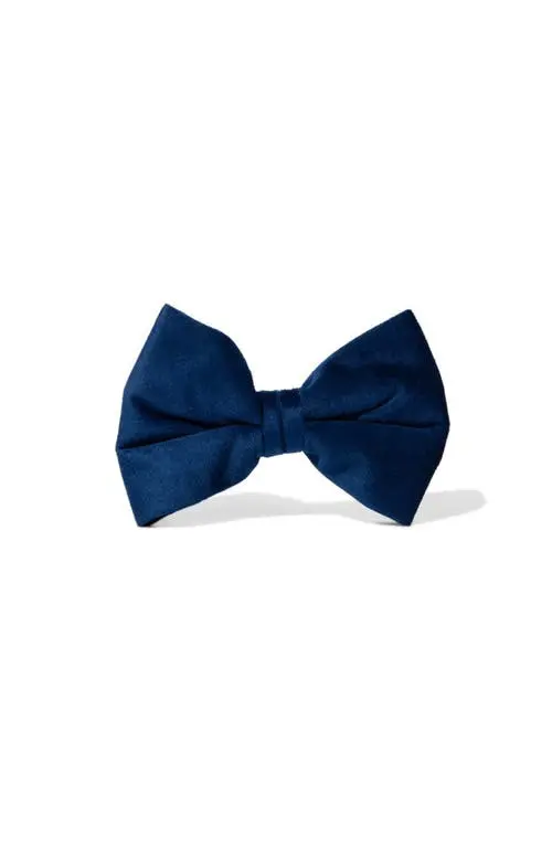 PINK PAPYRUS Bow Tie