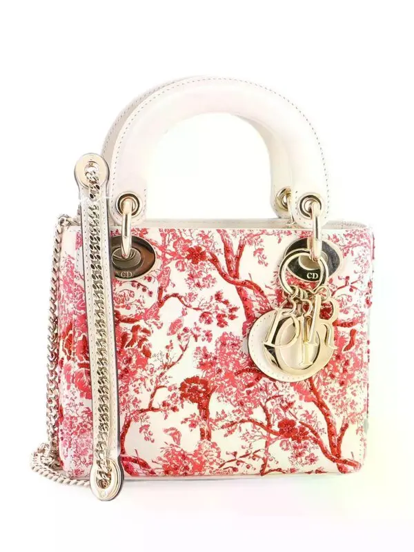 Dior Lady Chain Bag - Multicolour