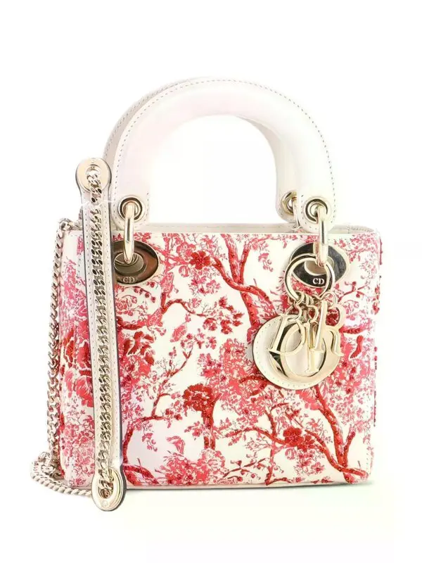 Dior Lady Chain Bag - Multicolour