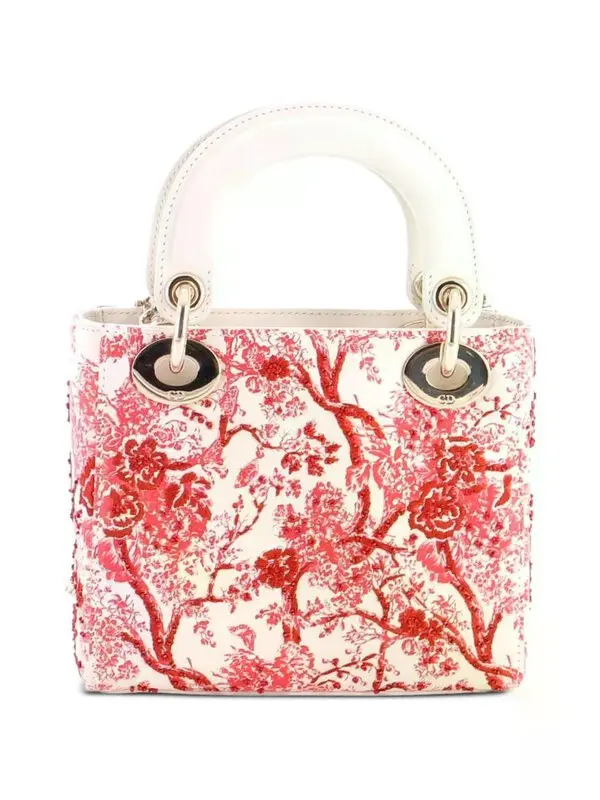 Dior Lady Chain Bag - Multicolour