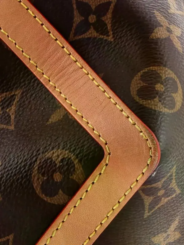 LOUIS VUITTON Dauphine Soft Monogram Canvas Gm Shoulder Bag