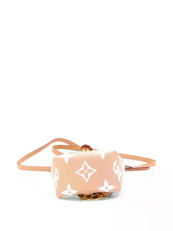 LOUIS VUITTON Monogram Giant Backpack