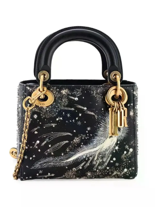 Dior Lady Chain Bag Embroidered Calfskin Mini Satchel - Black